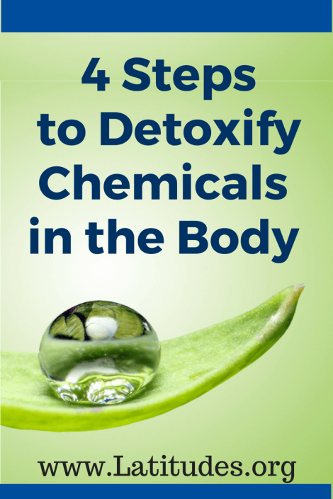 4 Steps You Can Take to Detoxify Chemicals | ACN Latitudes